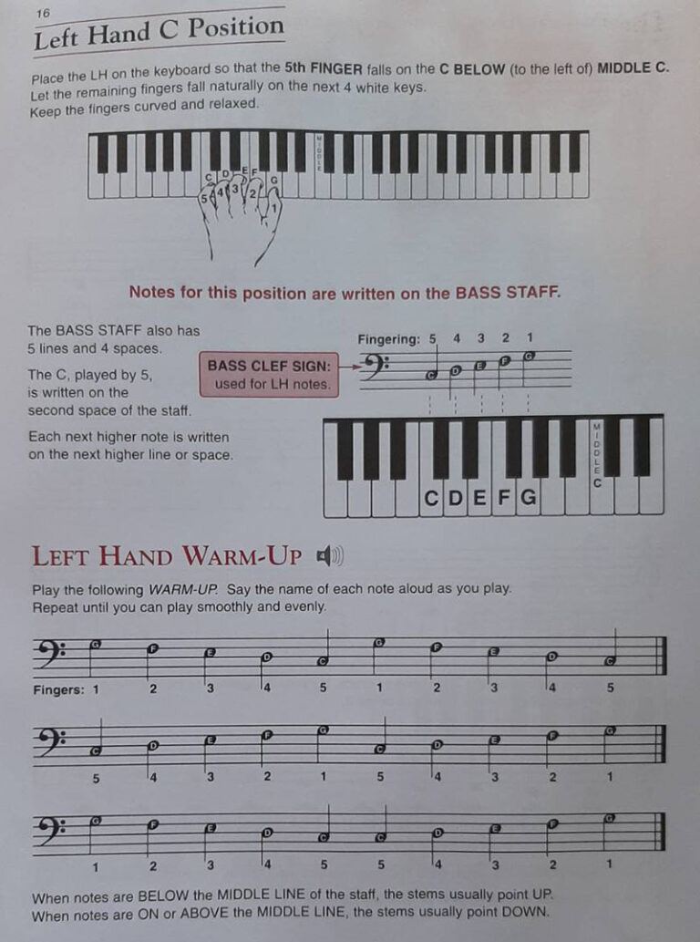 Left Hand C Position | Pianoze
